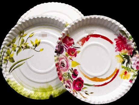 How To Choose A Cost-Effective Paper Plate Making Machine? - GuRui Eco